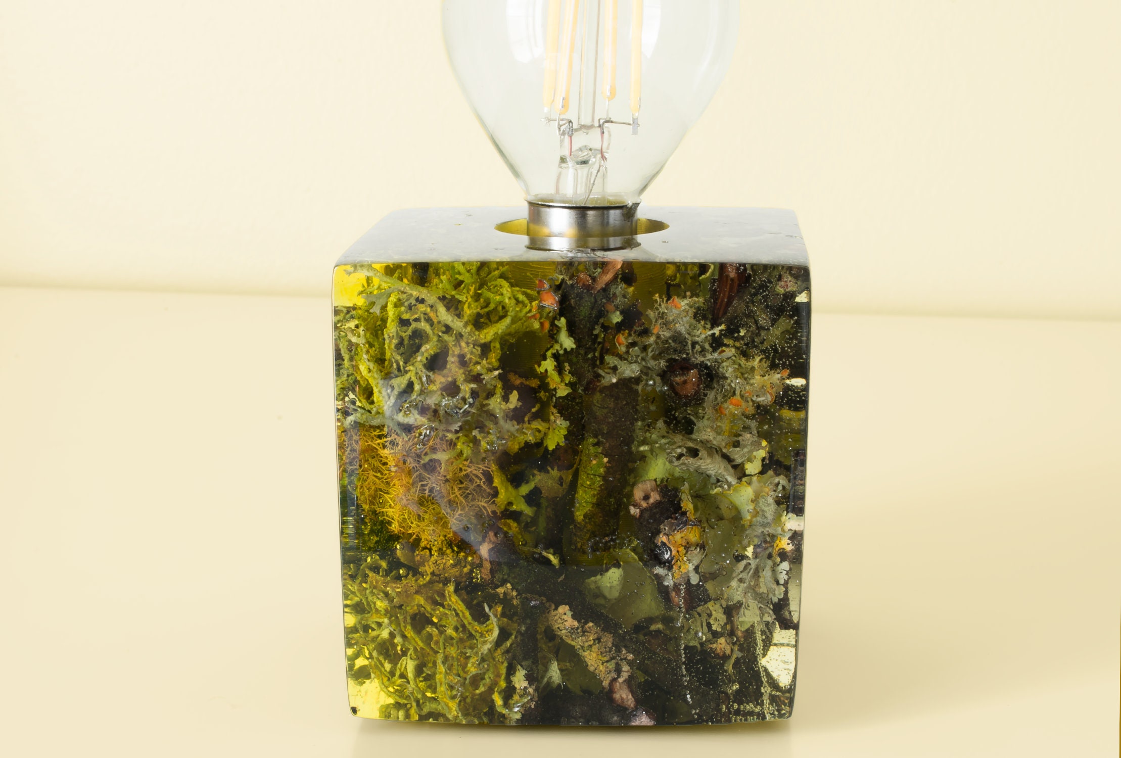 Table Lamp Floresta Epoxy and Tree Branches - Etsy