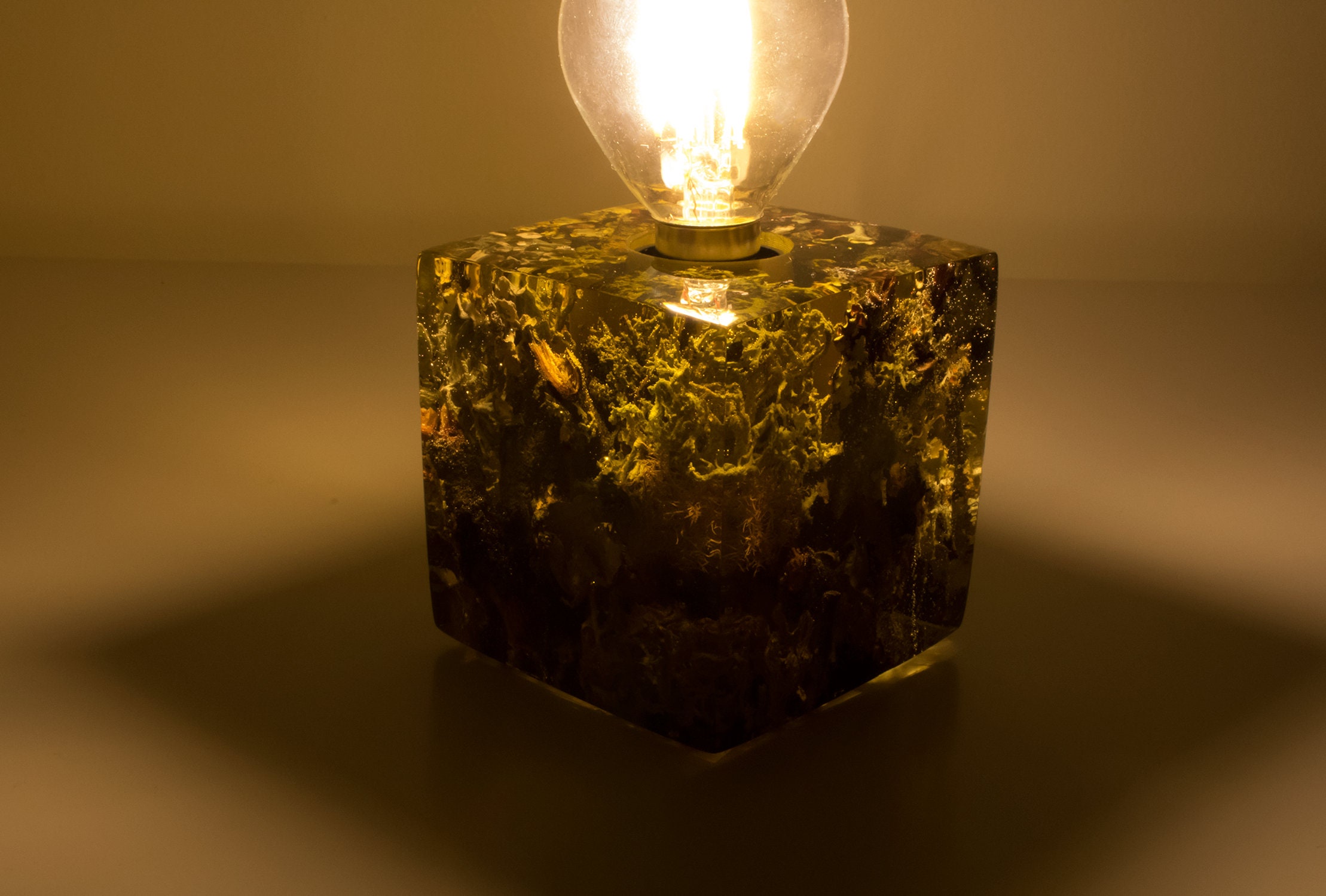 Table Lamp Floresta Epoxy and Tree Branches - Etsy