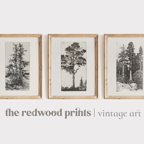 Tree Drawing Set Sketch Art Vintage Drawing Antique - Etsy