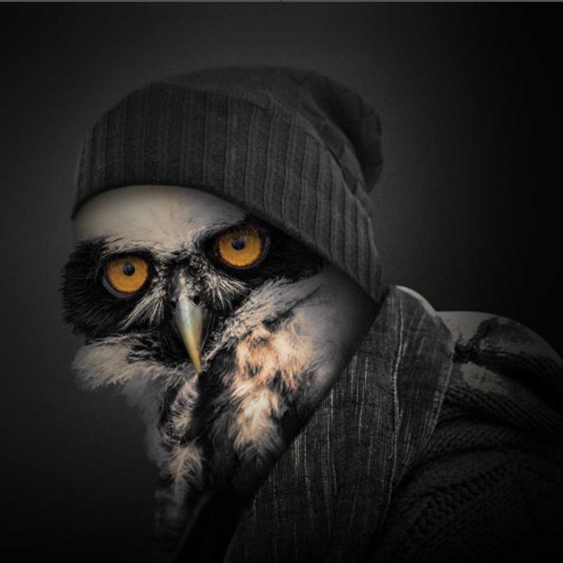 Owl Quilt Panels - Etsy