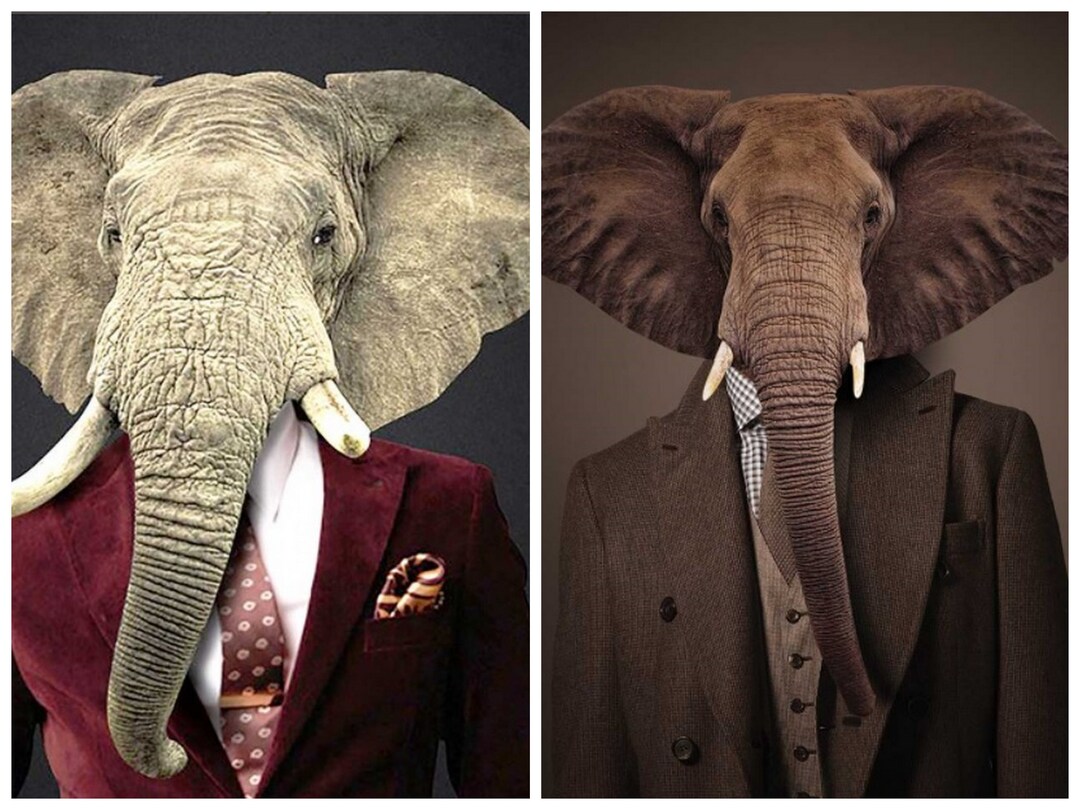 Panel of Boss Elephant With the Suit Design Polyester Upholstery Fabric ...