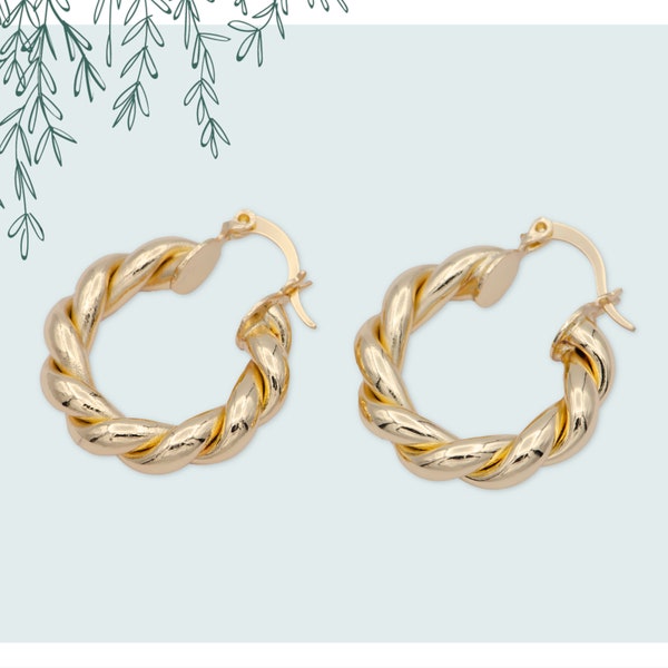 Napier Hoop Earrings - Etsy