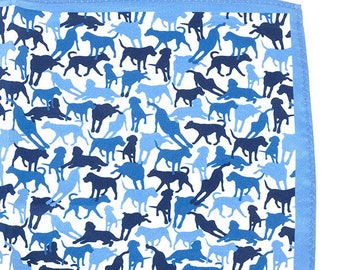 Pocket Square in Blue Bird Like Powder Blue Matte Woven Pocket Square ...