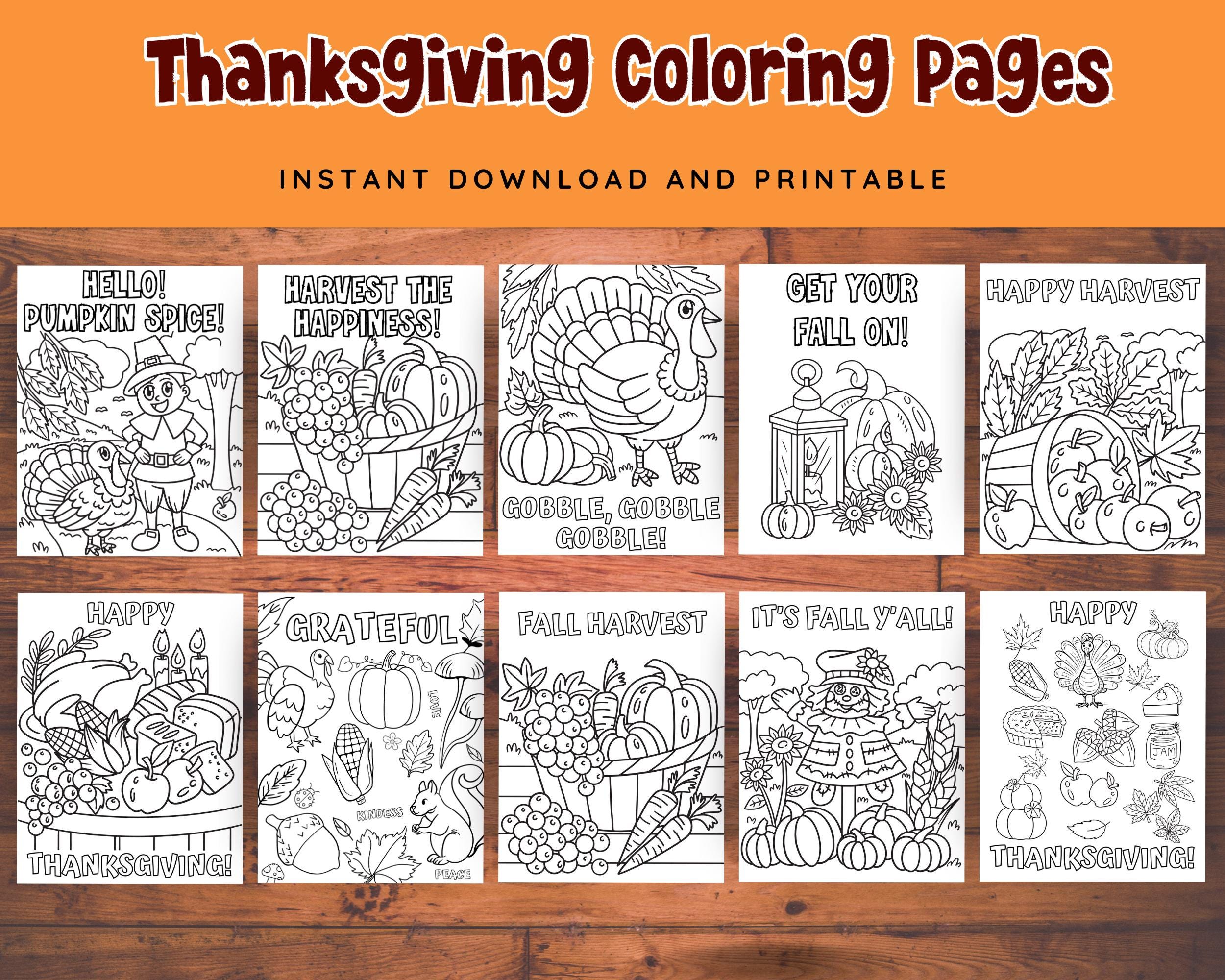 Thanksgiving Gratitude Bundle Printable, Gratitude Kit, Gratitude ...