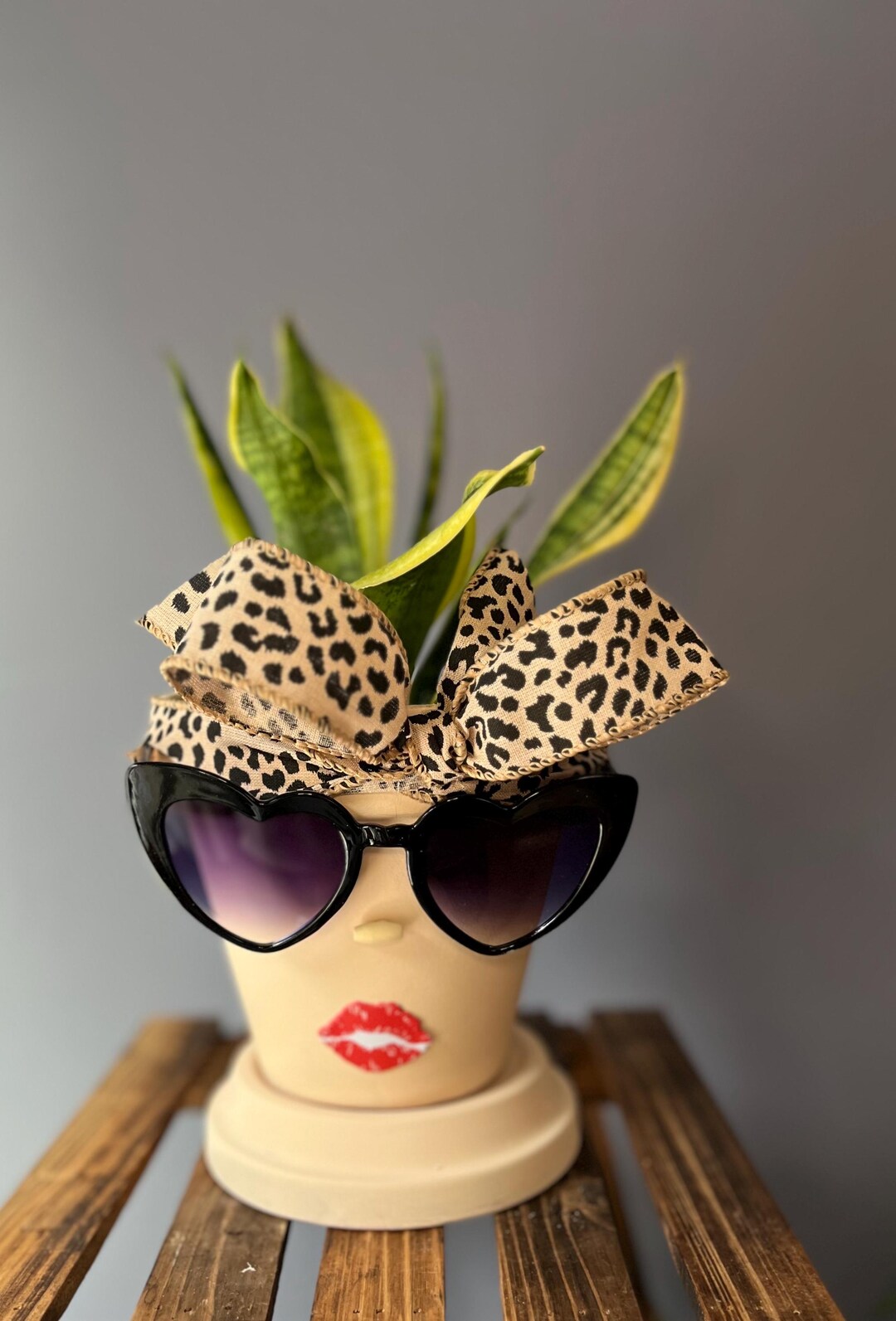 Cheetah Print Face Planter Pot – Cute Flower Pot With Sunglasses ...