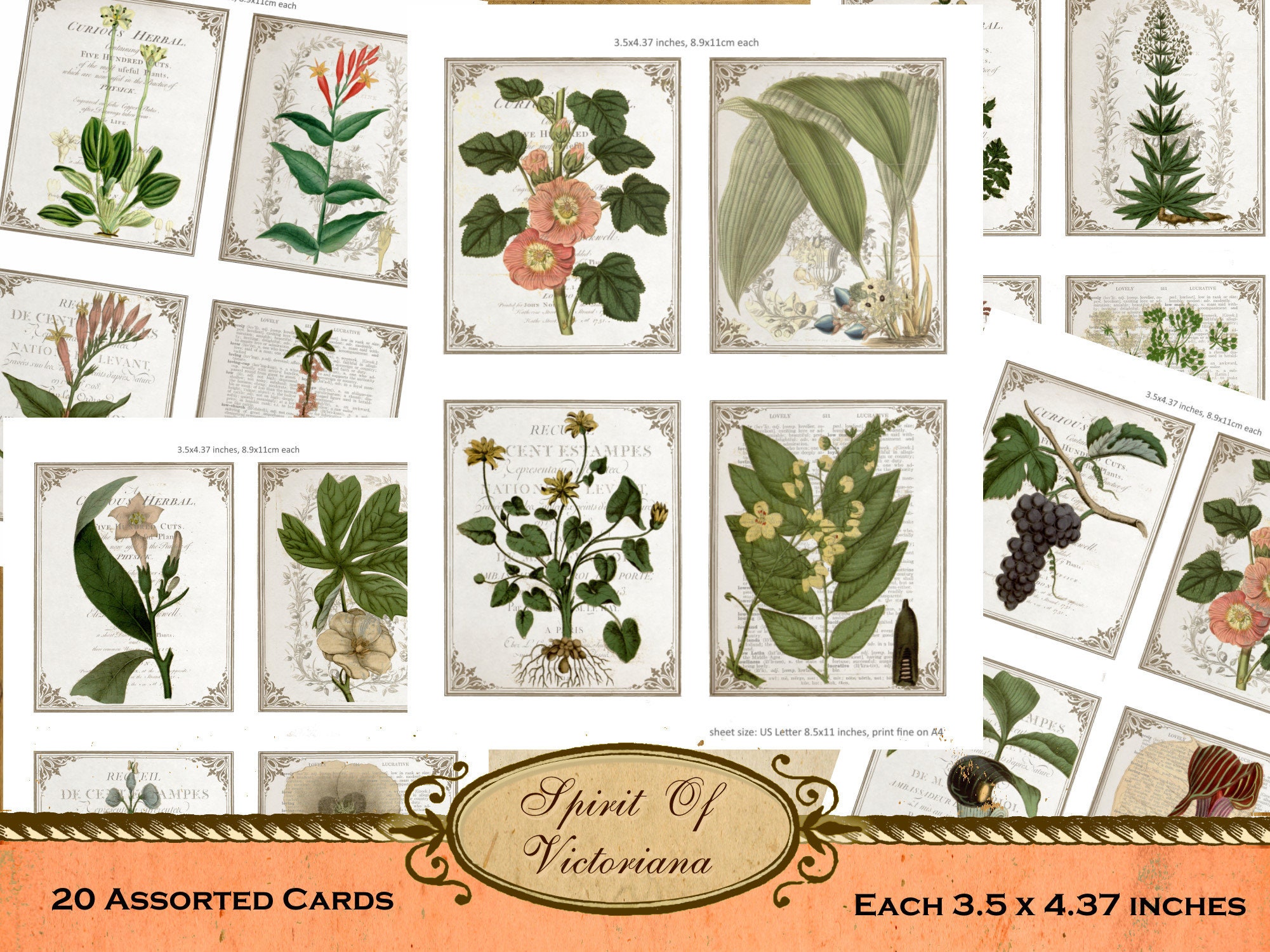 Vintage Cards With Botanical Plants Victorian Cards - Etsy UK