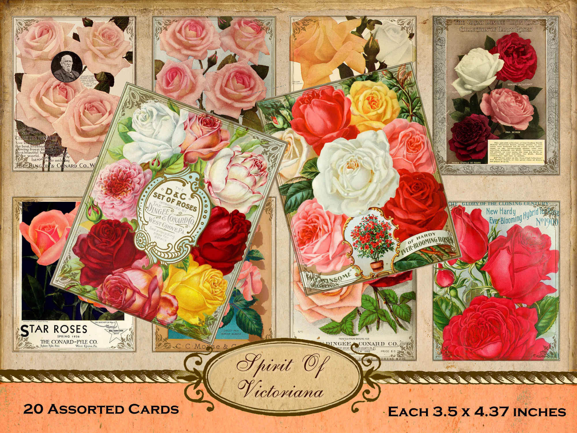Vintage Cards With Roses Victorian Cards Rose Collection - Etsy