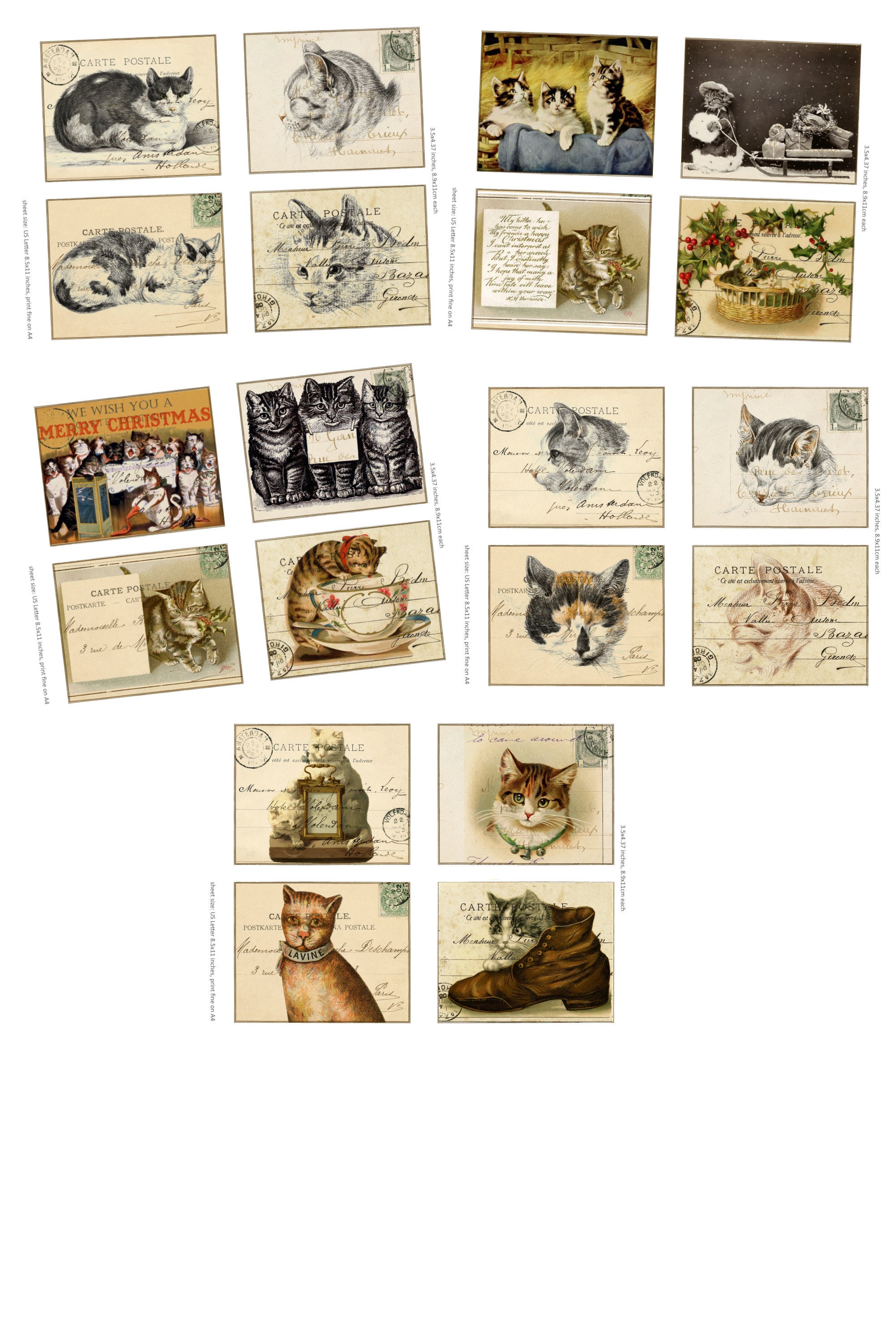 Victorian Cat Collection Vintage Cards With Cats Victorian - Etsy UK