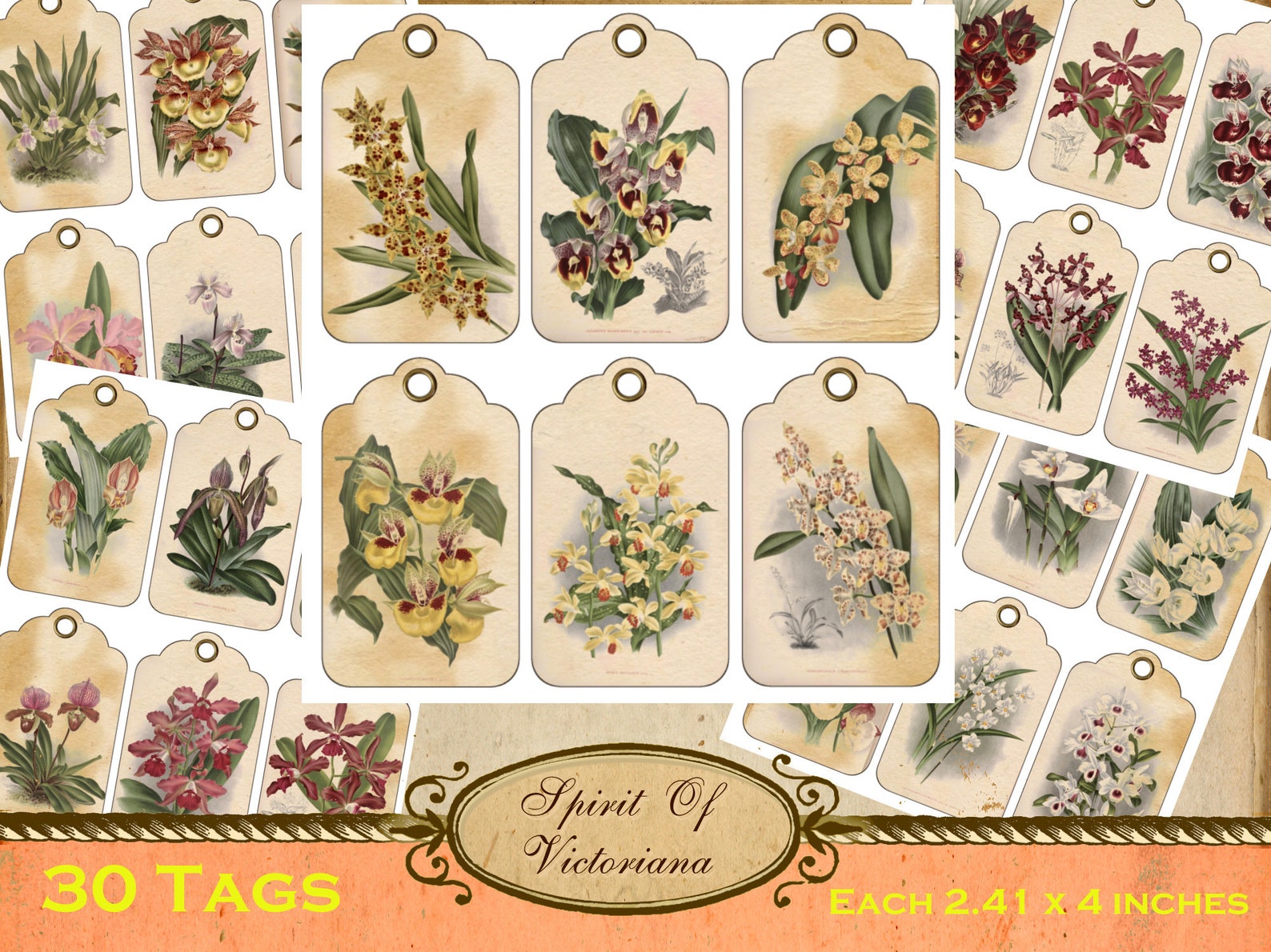 Victorian Tags, Labels, Vintage Tags, Labels With Orchids, Old Orchid ...