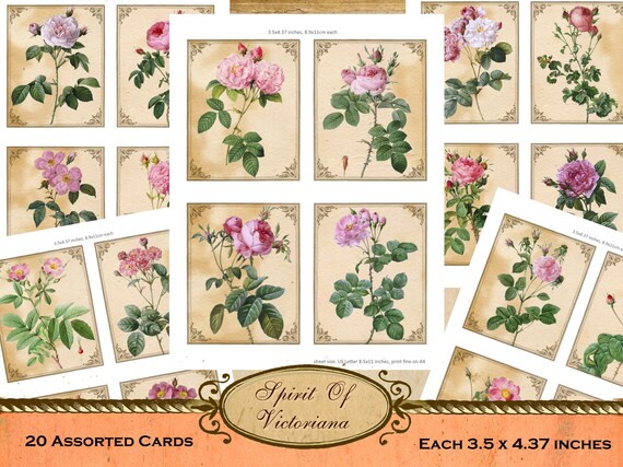 Vintage Cards With 19th Century Roses Victorian Cards Rose | Etsy