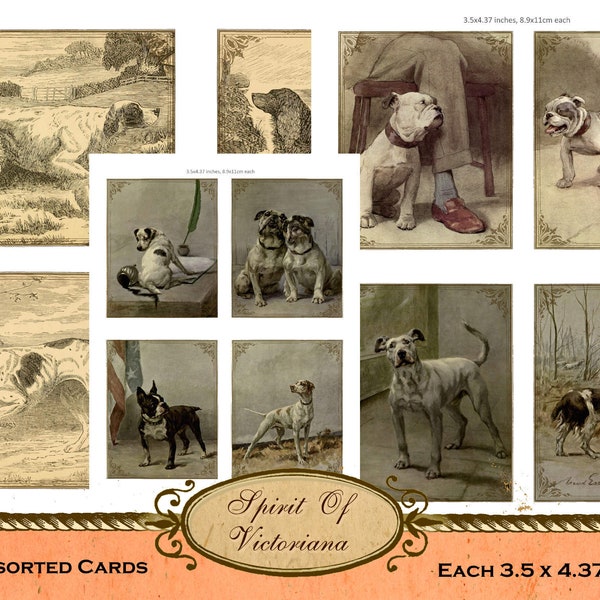 Victorian Dog Cards - Etsy
