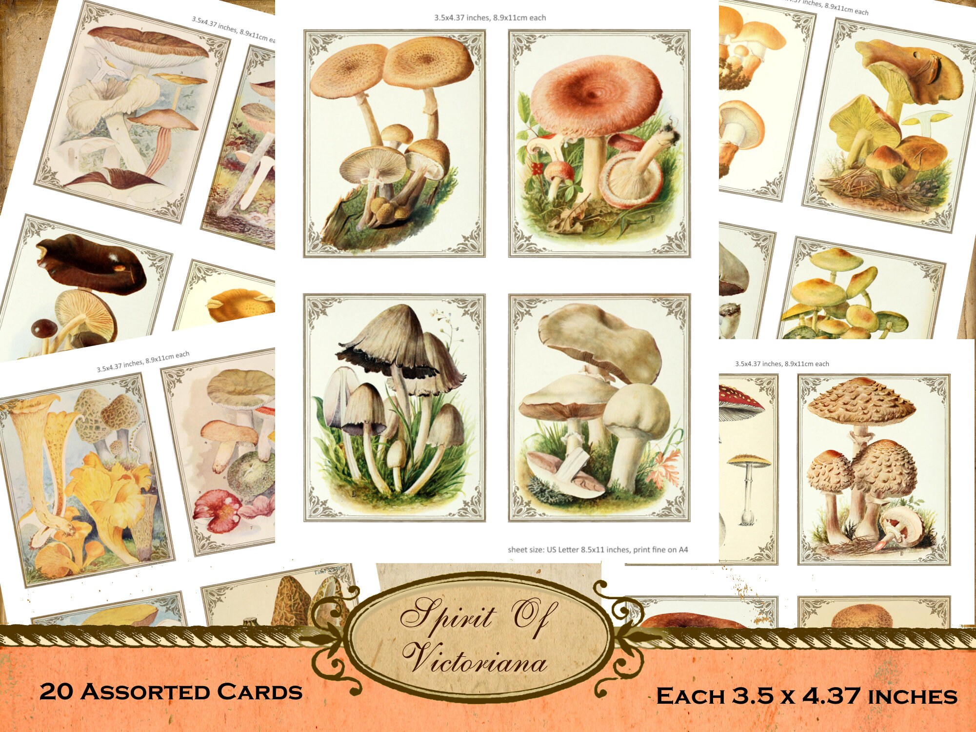 Victorian Cards Vintage Cards With Fungi Fungi Collection - Etsy