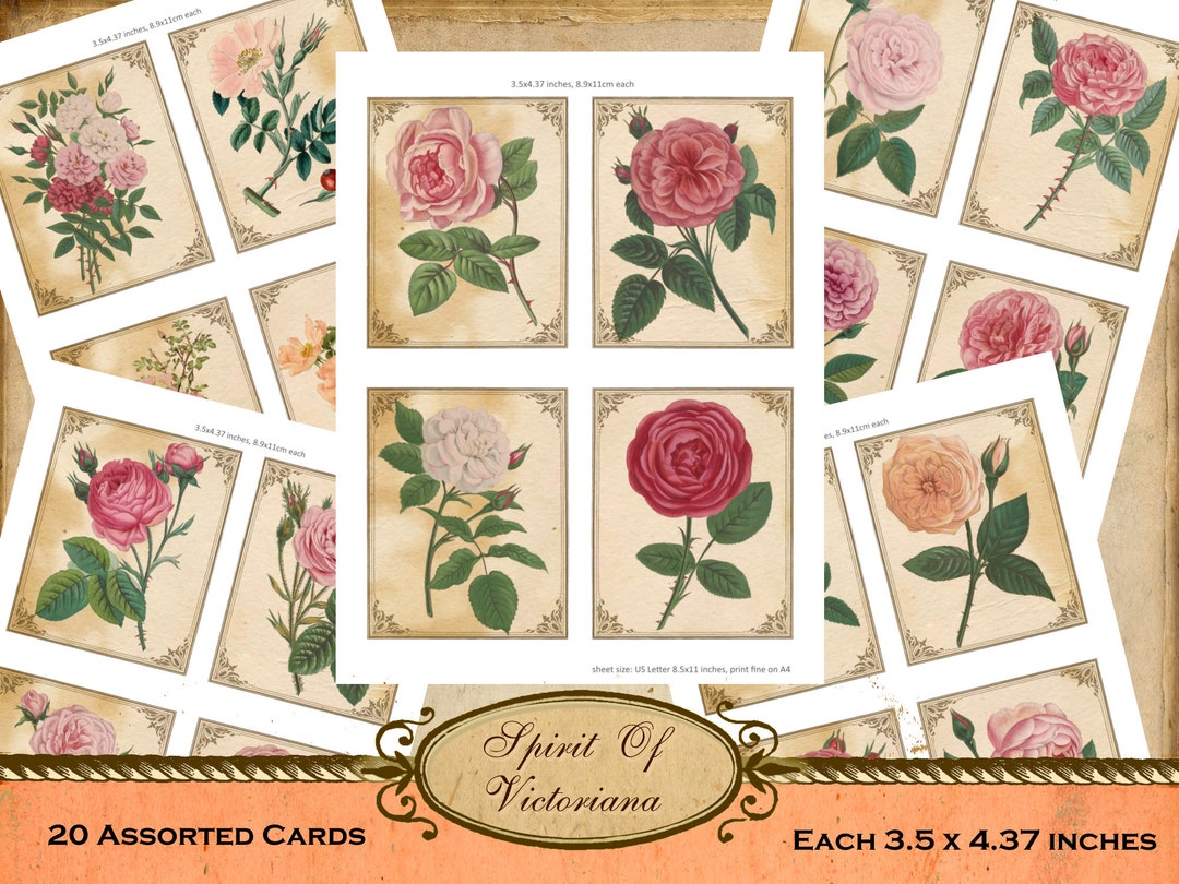 Vintage Cards With English Roses, Victorian Cards, Rose Collection ...
