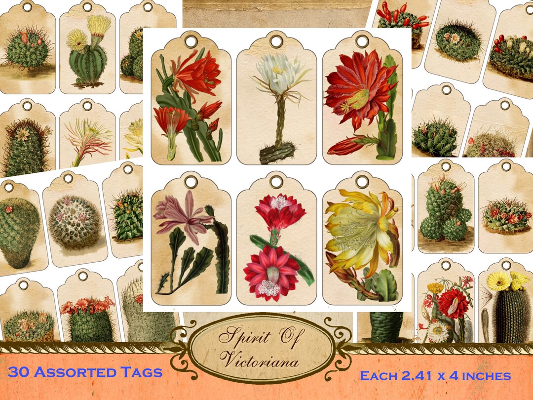 Vintage Tags, Labels With Cacti Plants, Victorian Tags, Cacti Plant ...