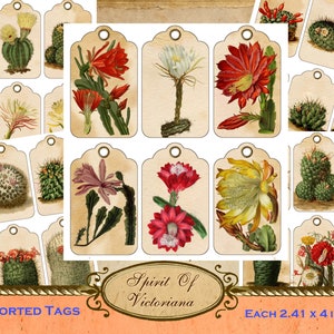 Vintage Tags, Labels With Cacti Plants, Victorian Tags, Cacti Plant ...