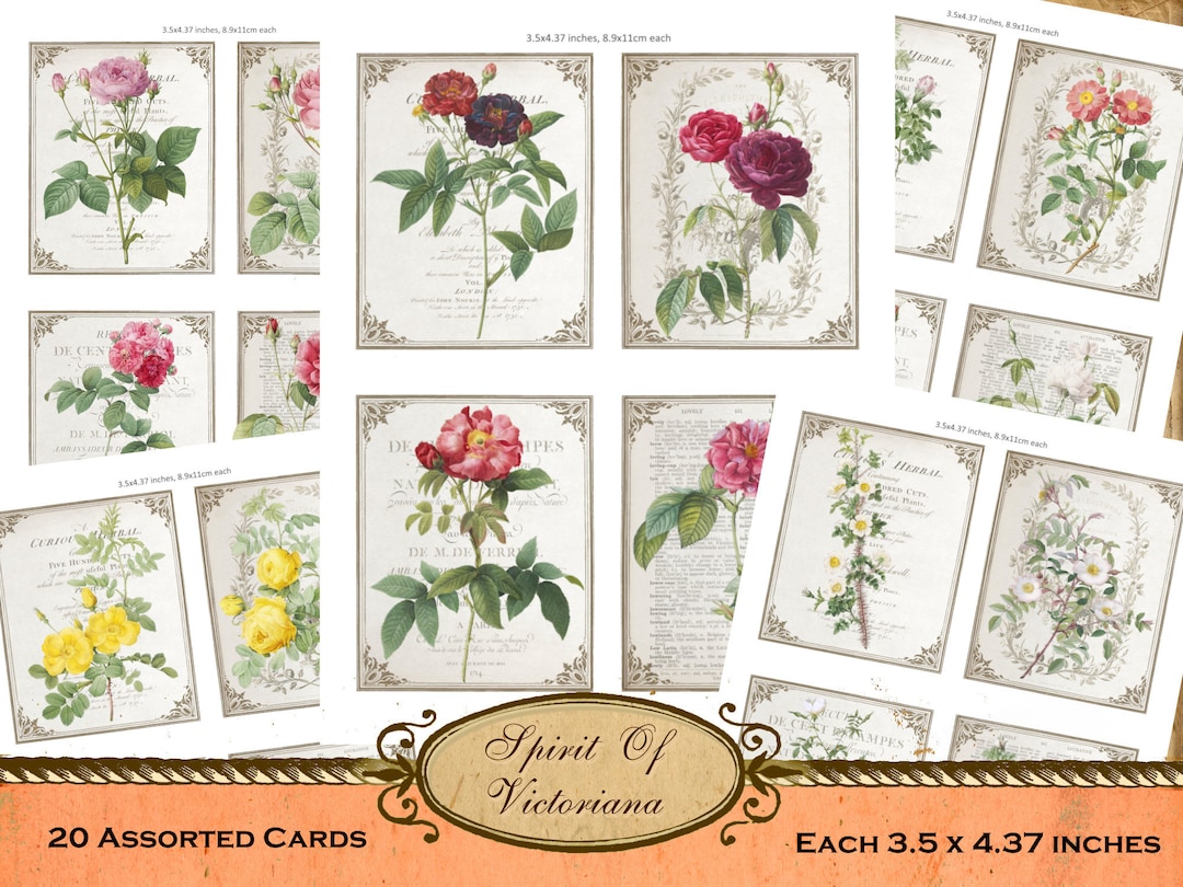 Vintage Cards With 19th Century Roses, Victorian Cards, Rose Collection ...