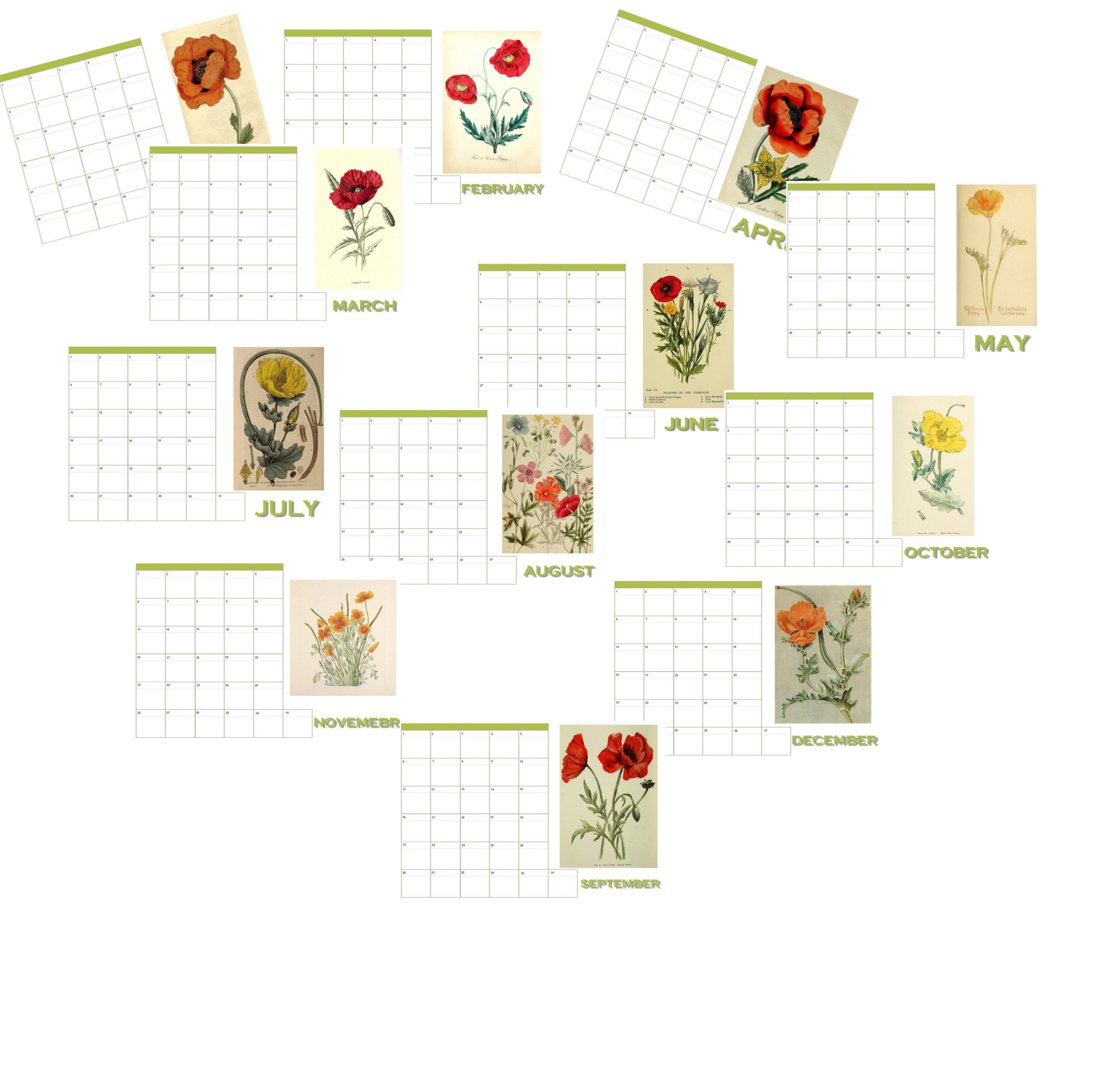 Perpetual Poppy Calendar, Poppy Birthday Calendar, Forever Poppy ...