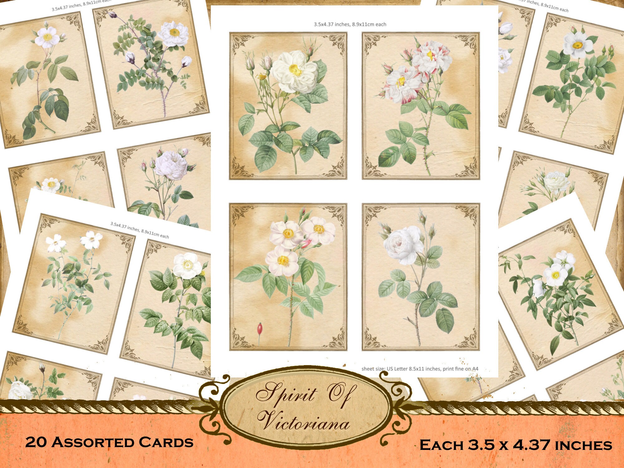 Vintage Cards With 19th Century Roses, Victorian Cards, Rose Collection ...