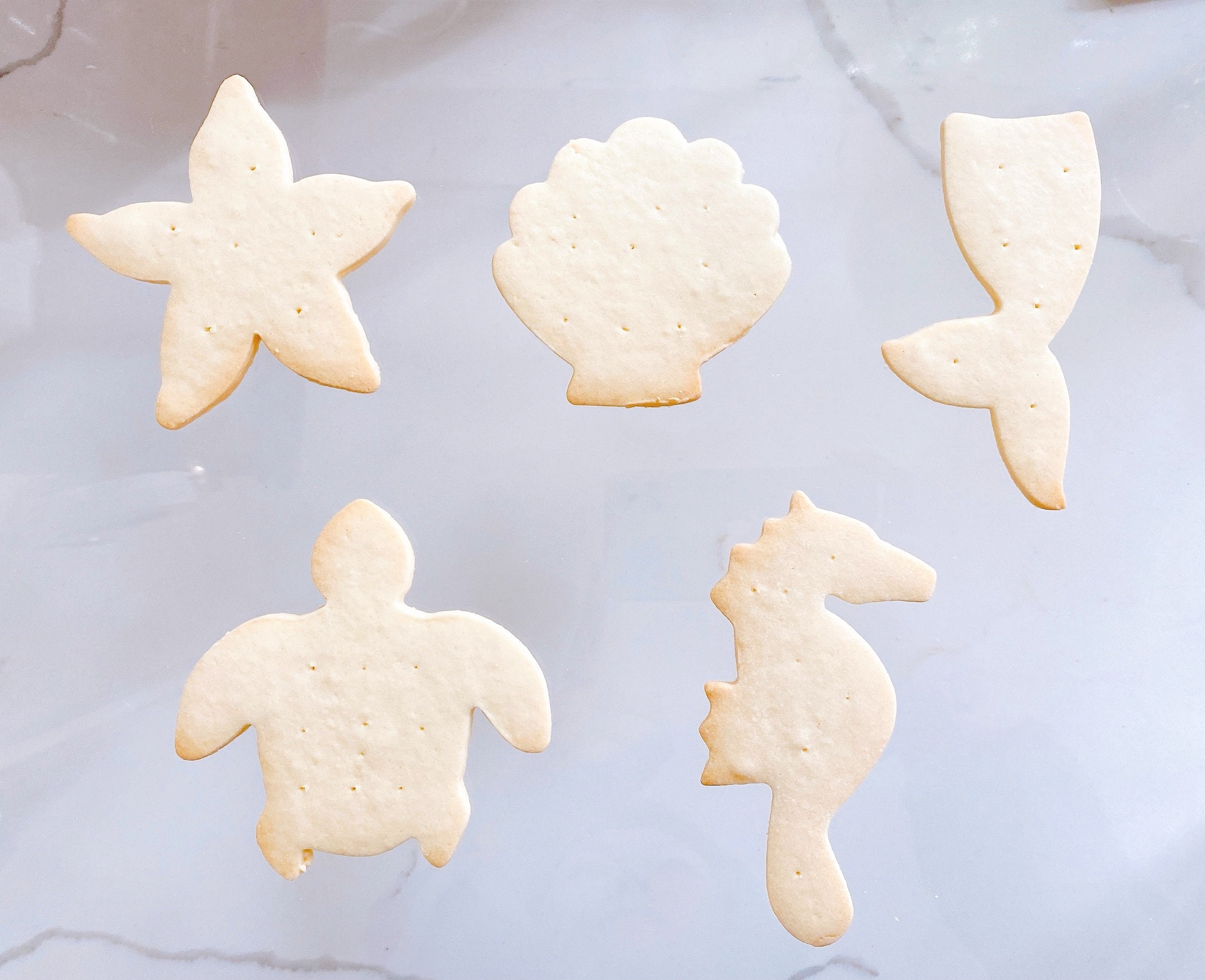 Ocean Theme DIY Cookie Kit/ Cookie Decorating Kit/ 15 Cookies/ - Etsy