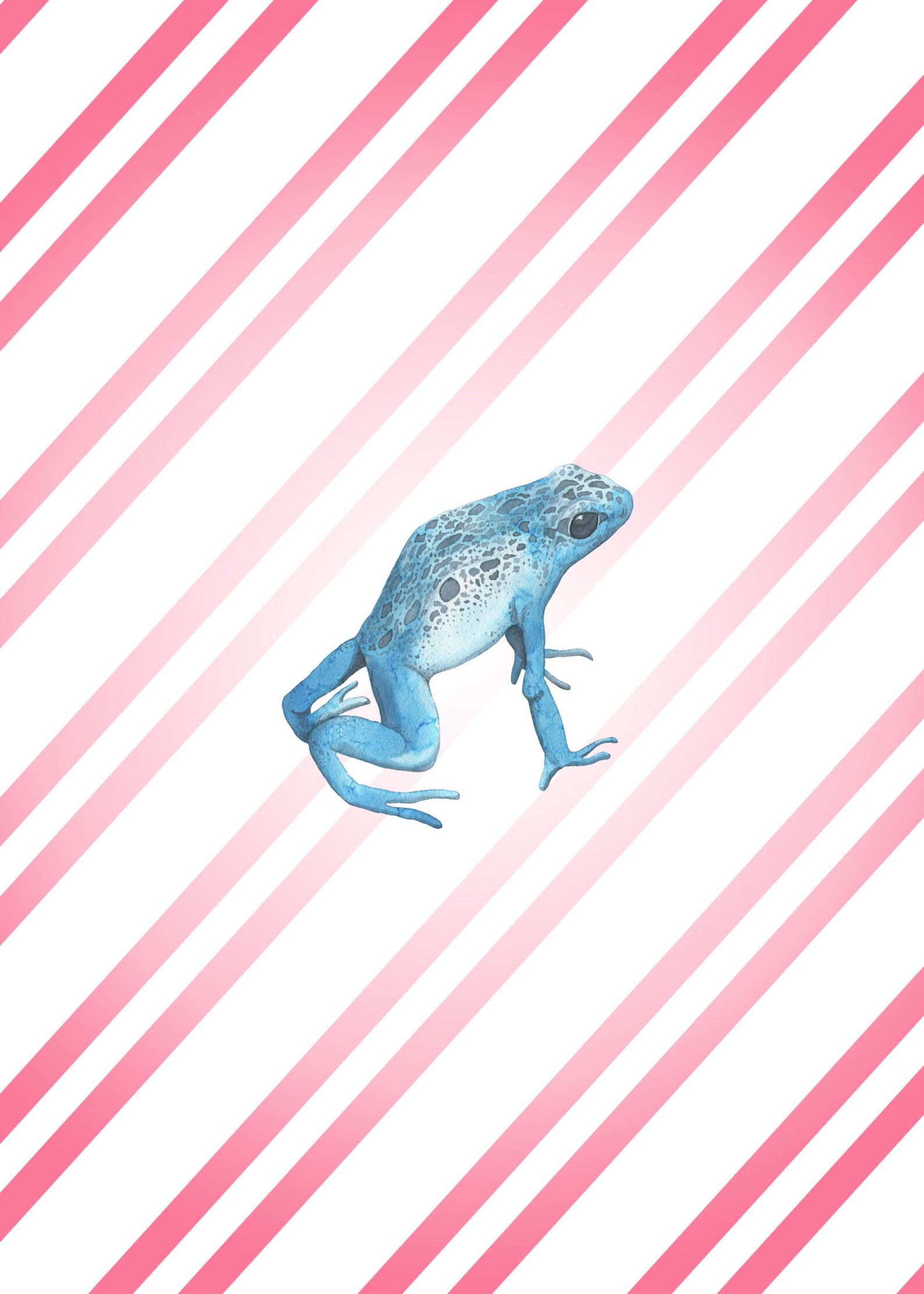 Insect Thank You Card Insect Birthday Thank You Card Bug - Etsy