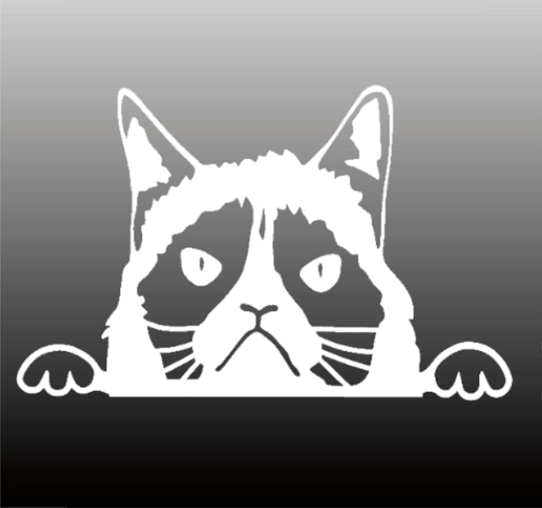 Grumpy Cat Middle Finger