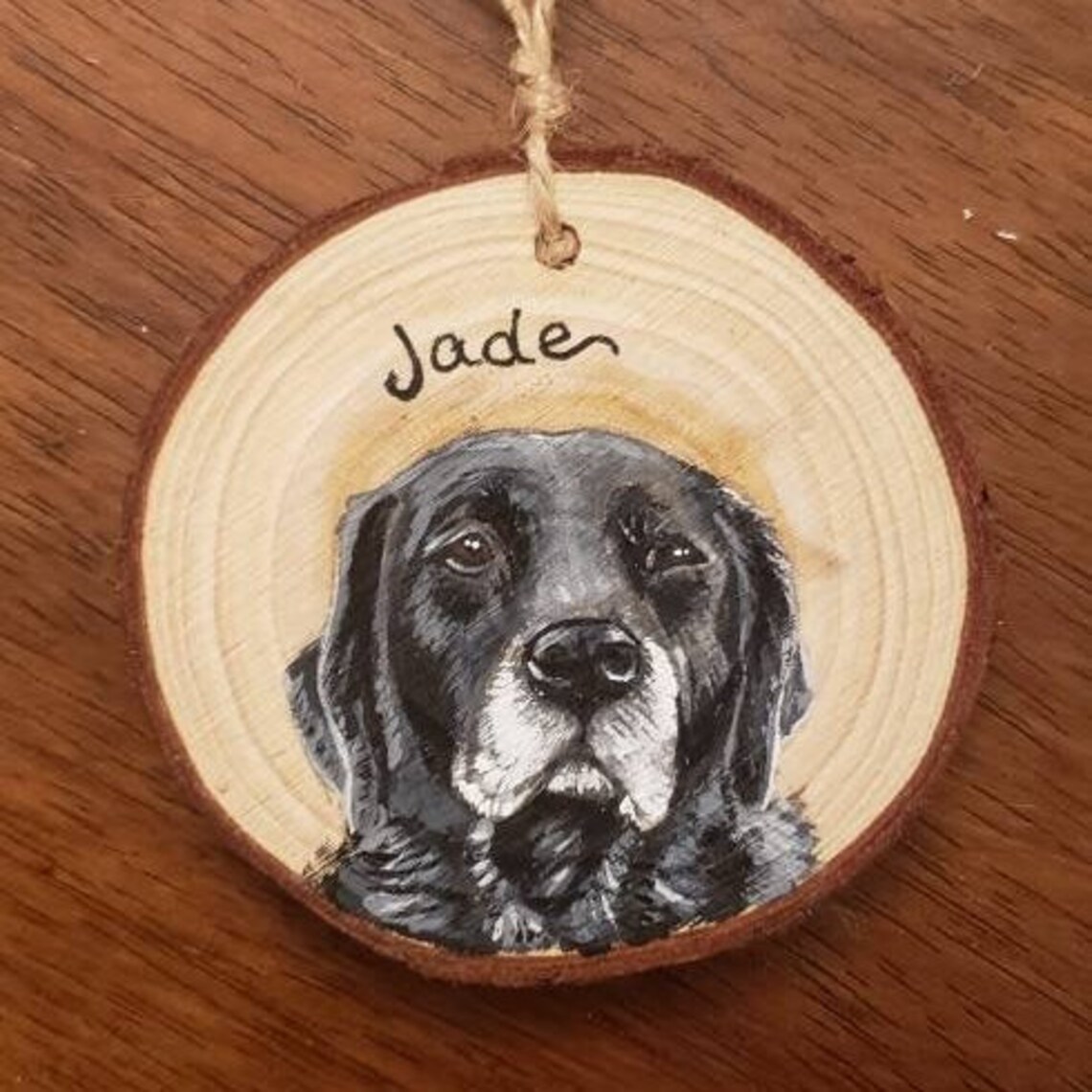 Custom Hand Painted Pet and Animal Portrait Ornaments 2.5 to | Etsy