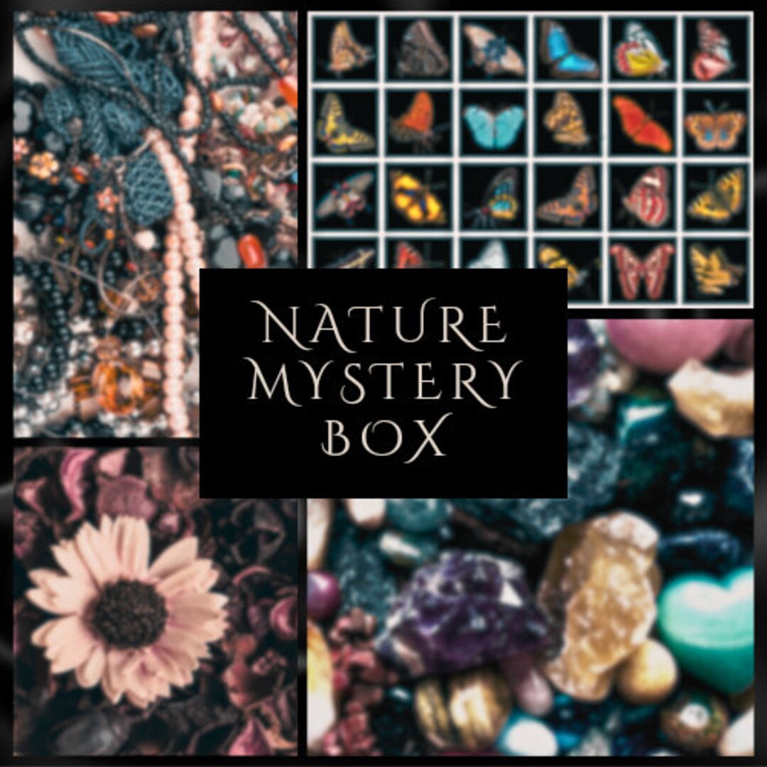 Nature Themed Mystery Boxes - Etsy