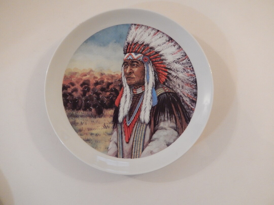 Native American Porcelain Collectible Plate - DAY of the BUFFALO - Etsy