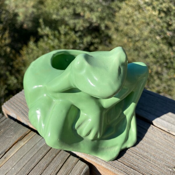 Frog Planter - Etsy