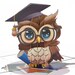 Wise Little Owl Pop up Graduation Card for Students, Newly Grad - Etsy