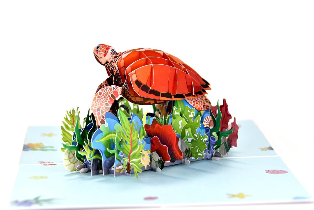 Turtle 3D Pop up Card, Ocean Pop up Birthday Card, All Occasions - Etsy