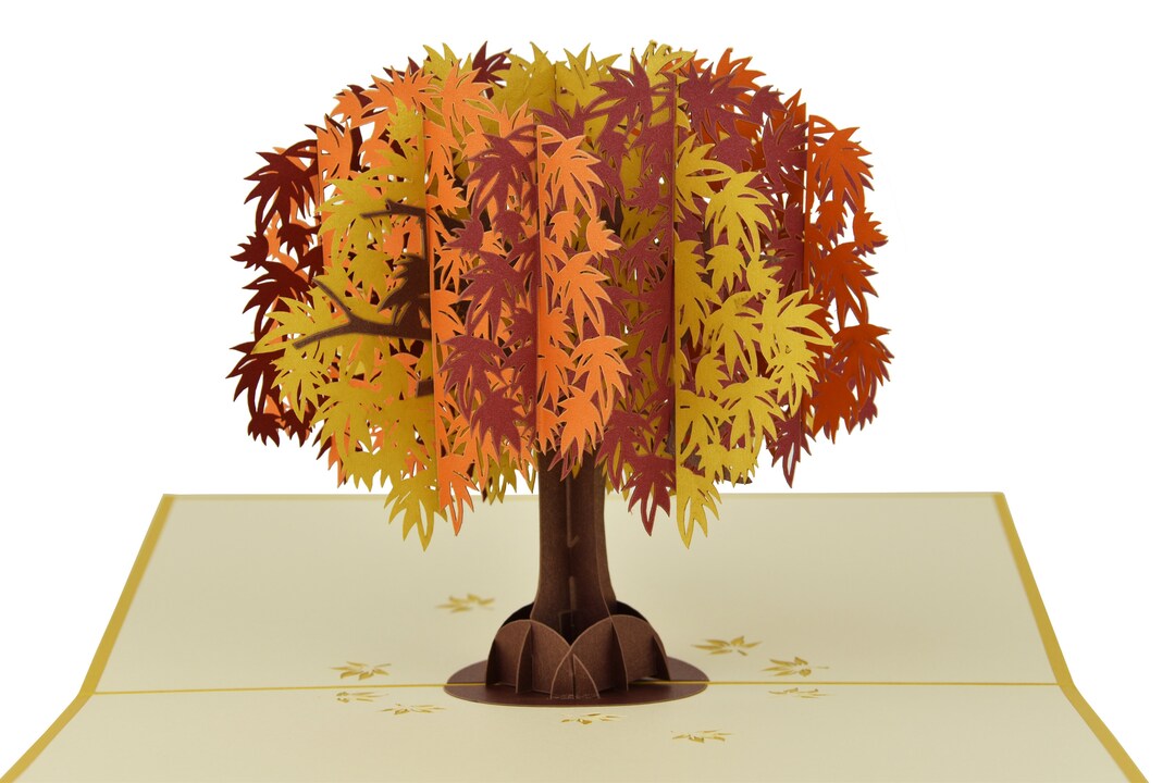 Fall Colour Maple Tree Pop up Greeting Card Birthday Card - Etsy