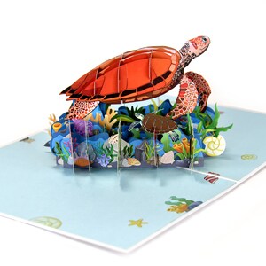 Turtle 3D Pop up Card, Ocean Pop up Birthday Card, All Occasions - Etsy