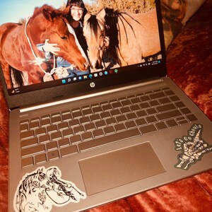 Cinched up Designs Let's Go Ghouls Cowgirl Sticker, Western Sticker ...