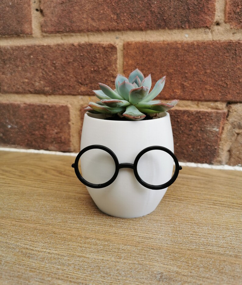 Harry Potter Inspired Plant Pot Novelty Planter Quirky | Etsy