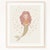 Boho Forest Mushroom Themed Classroom Inspirational Posters, Editable ...