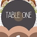 Boho Forest Mushroom Themed Classroom Table/desk Signs/labels, Editable ...