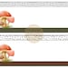 Boho Forest Mushroom Themed Classroom Desk Name Labels, Editable ...