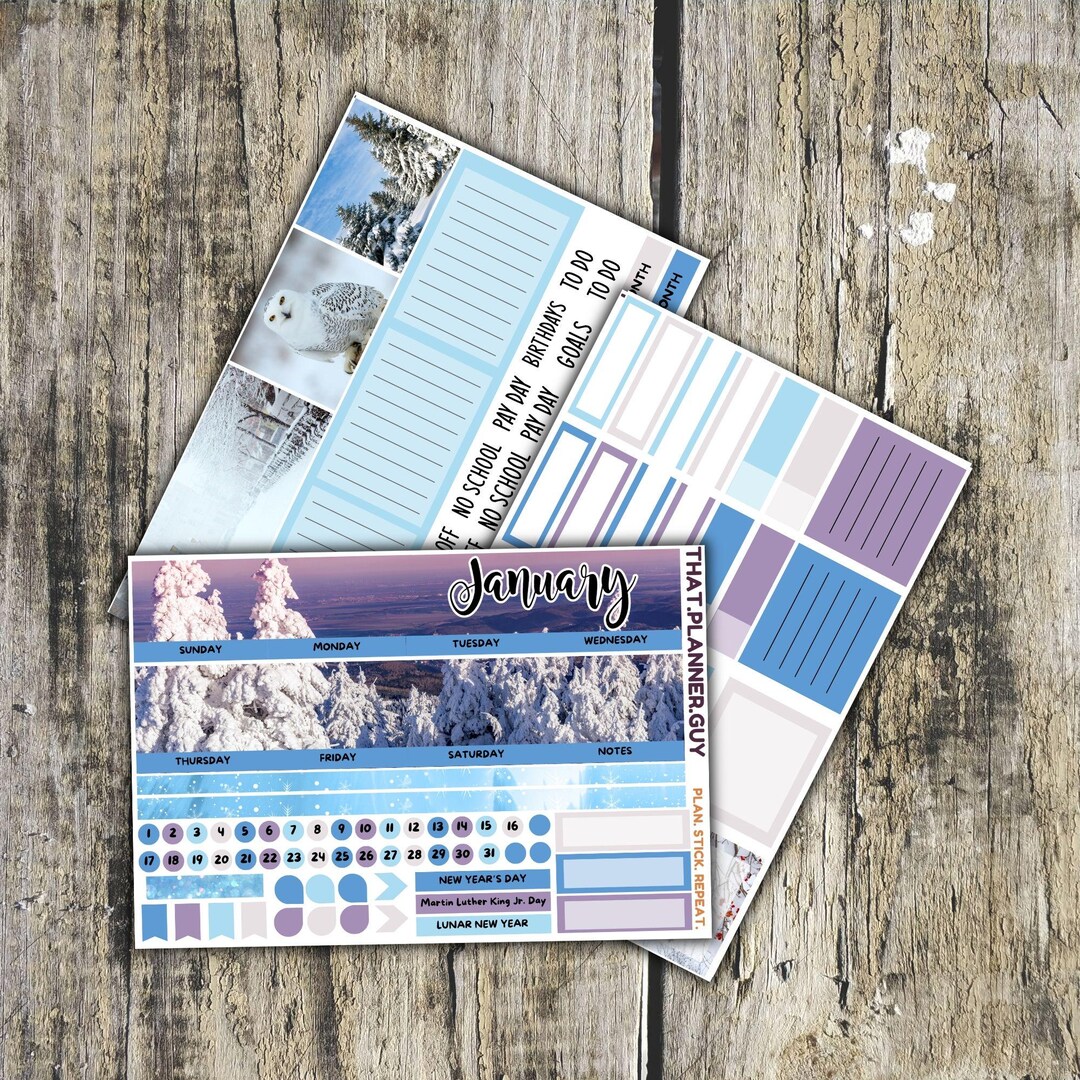 Snowy Days | January Monthly Planner | Erin Condren Monthly Kit ...