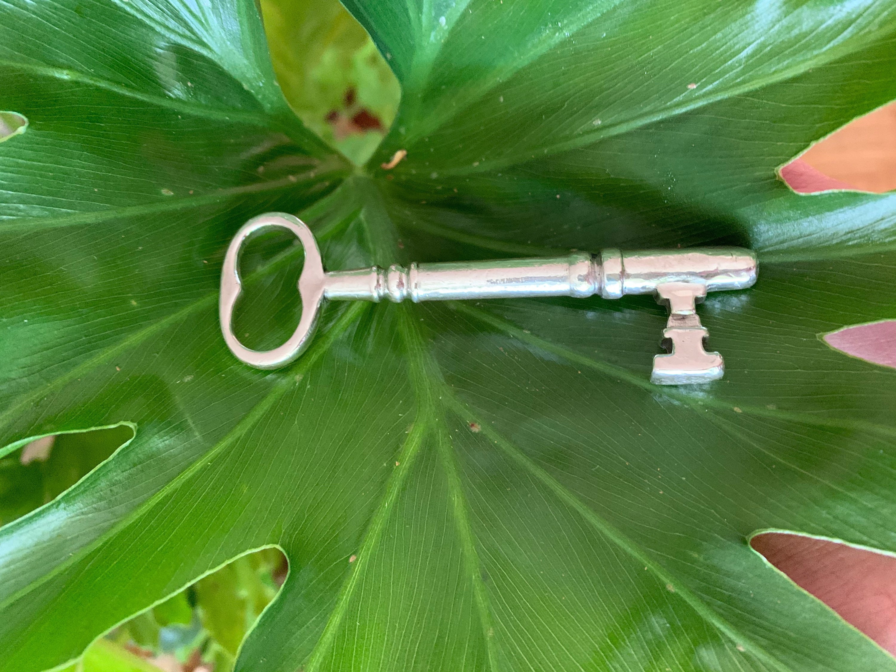 Key of David skeleton Key - Etsy