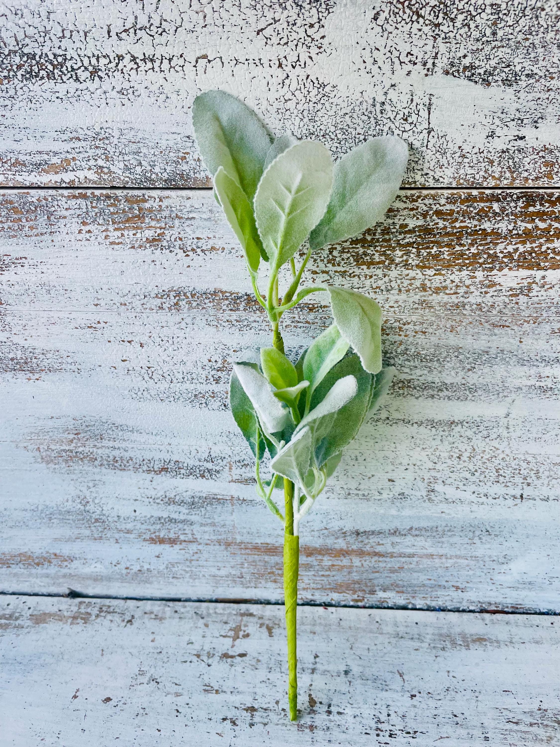 Lamb’s Ear Pick, Bundle of 3 - Etsy