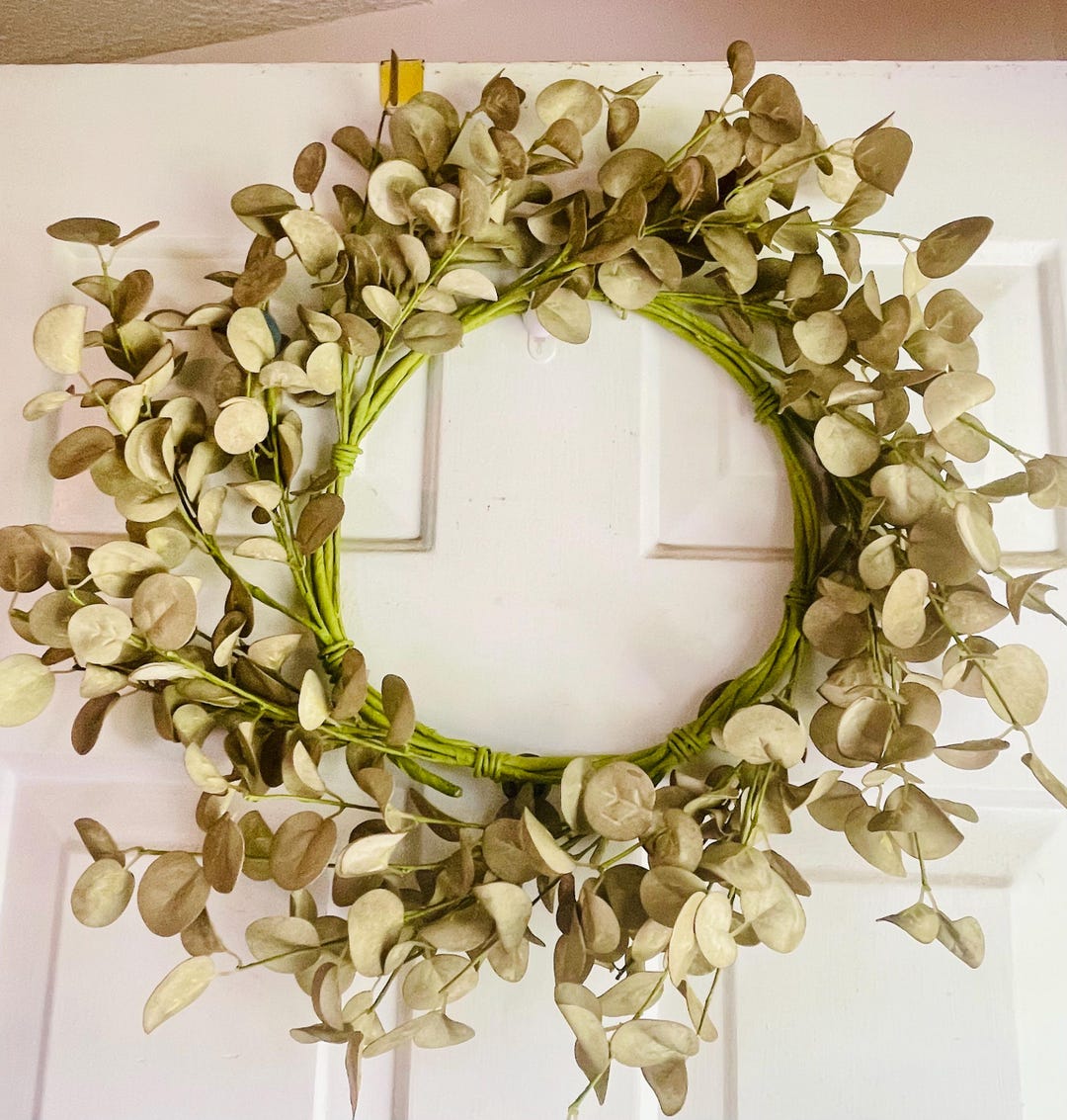 Foamy Silver Dollar Wreath, Sage, 20 Country Farmhouse Cottage Door ...