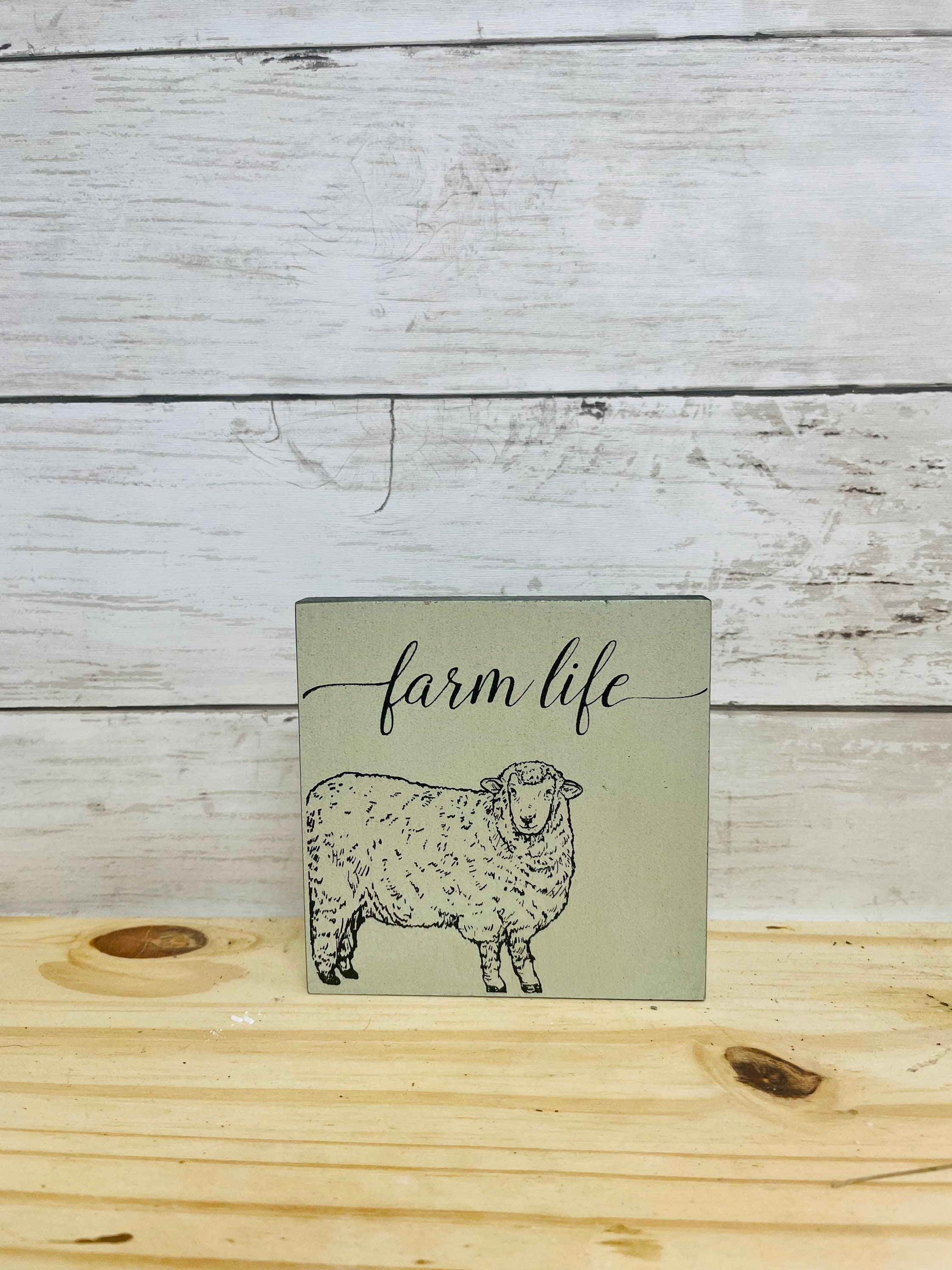 Farmhouse Square Block Sign, 4 Shelf Sitter Tier Tray Decor 3 Assorted ...