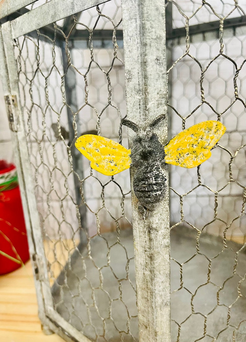 Rustic Bee Metal Birdcage With Chicken Wire Lanterns 2 Pc Set - Etsy