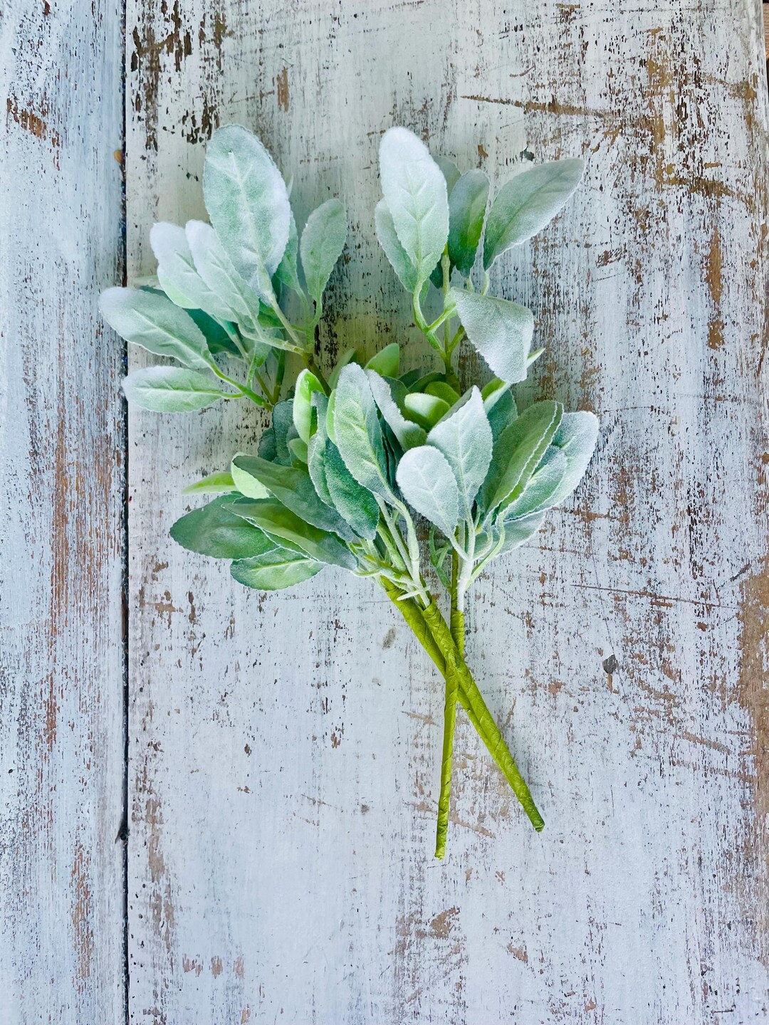 Lamb’s Ear Pick, Bundle of 3 - Etsy
