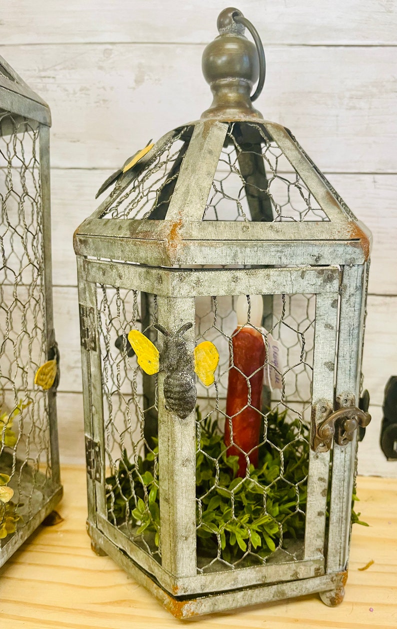 Rustic Bee Metal Birdcage With Chicken Wire Lanterns 2 Pc Set - Etsy
