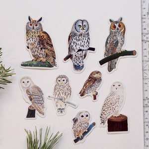 Owls and Uhu Stickers Nature Stickers Decorative | Etsy