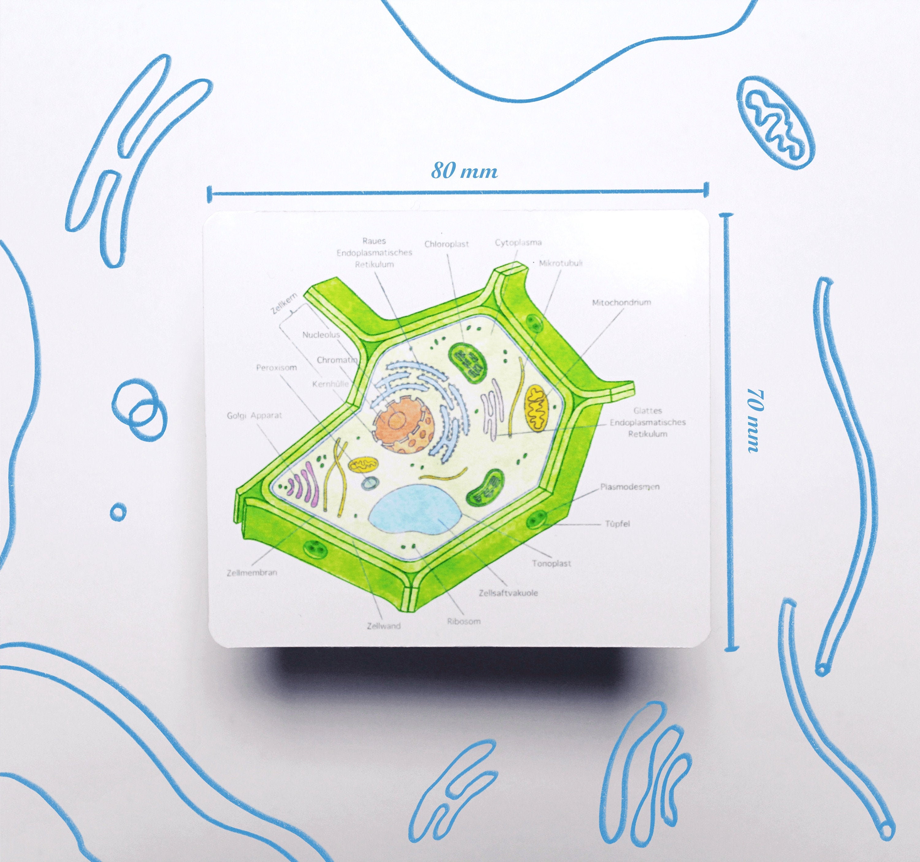 Plant Cell Sticker, Cell Sticker, Plant Sticker, Cell Biology Sticker ...