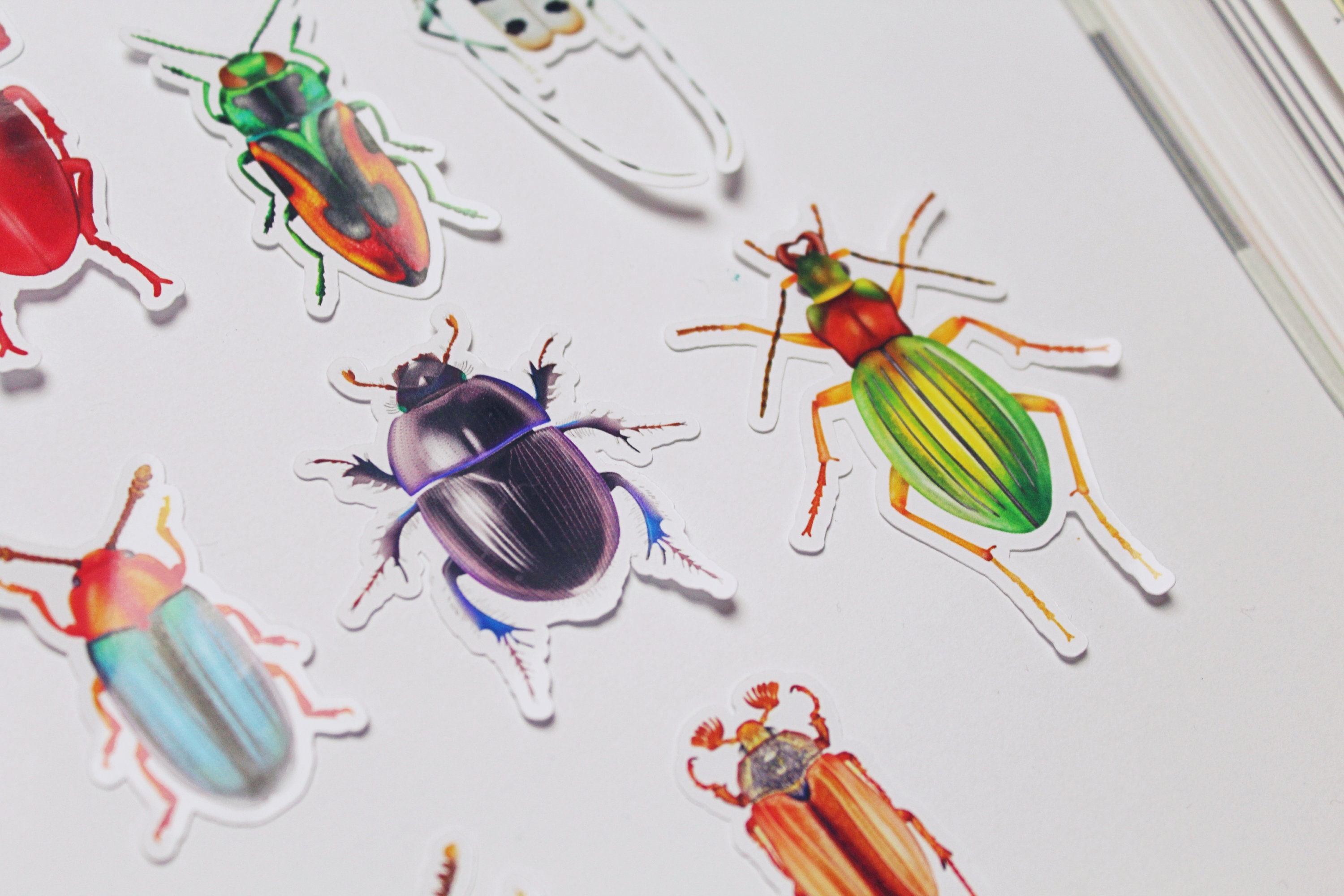 Insects / Beetles Stickers Nature Stickers Decorative - Etsy