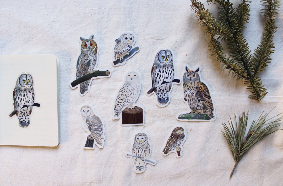 Owls and Uhu Stickers Nature Stickers Decorative - Etsy